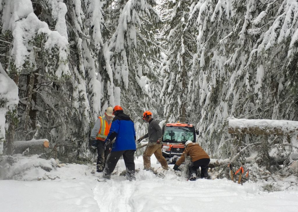 Trail Report – Larch Hills Nordic Society